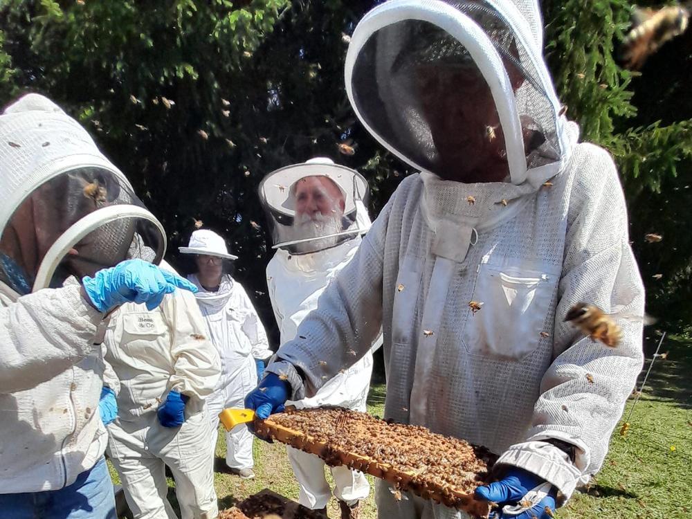 Chautauqua County Beekeepers Association Holding Annual 'Introduction ...