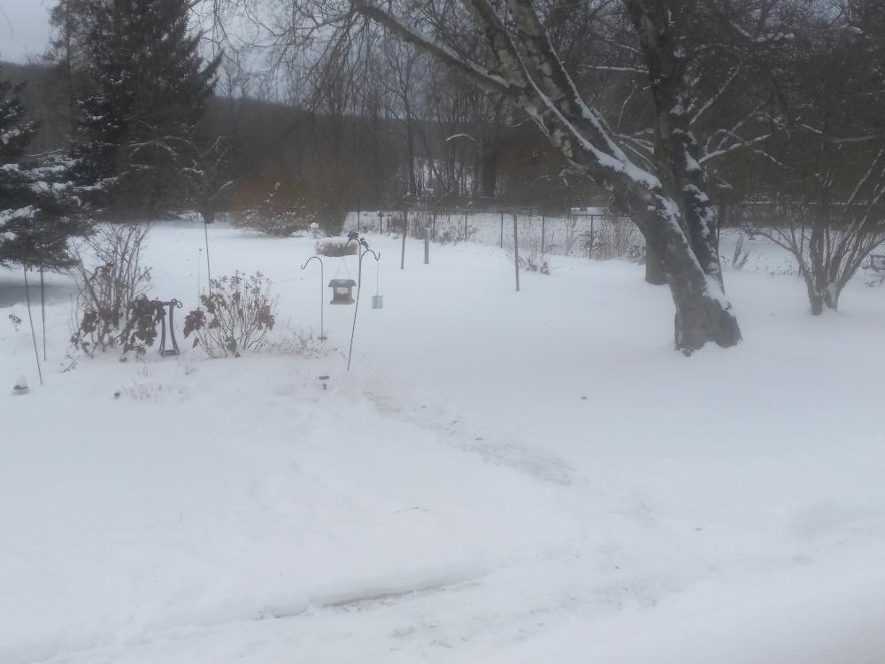 Heavy Lake Effect Snow Hits Parts of Chautauqua County, More to Come ...