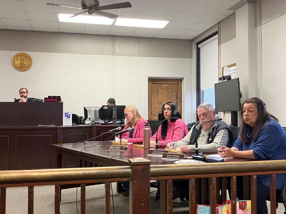 Common Council Approves Measure to Continue Curbing Seagull Population ...