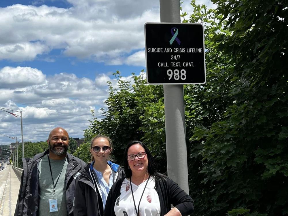 City of Jamestown Unveils New Suicide and Crisis Lifeline Signage ...