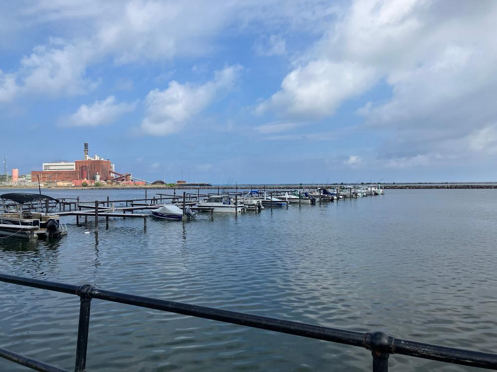 DEC Adds Point Gratiot Park, Dunkirk Harbor to State Birding Trail ...