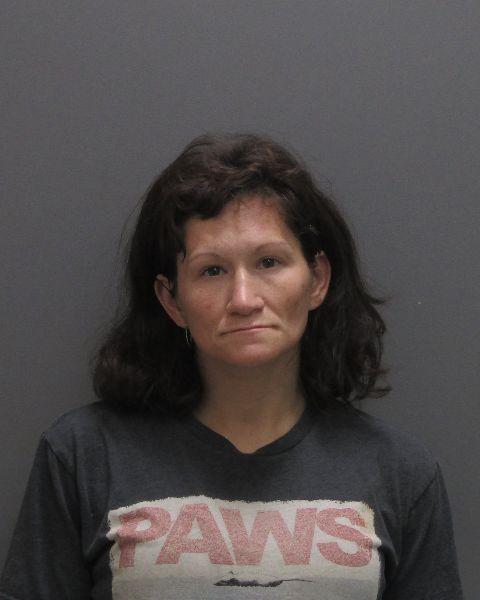 Jamestown Woman Charged After Officers Exposed to Fentanyl in Jail ...